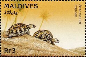 Stamp: Spur-thighed Tortoise (Testudo graeca) (Maldives(Tortoises and ...