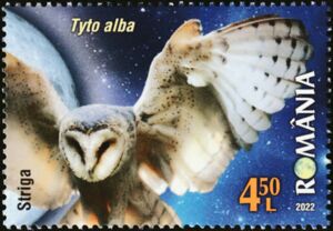 Stamp: Barn Owl (Tyto alba) (Romania(Nocturnal Birds (2022)) Mi:RO ...