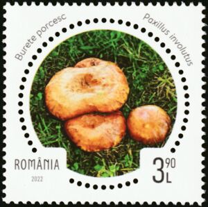 Stamp: Brown Roll-Rim (Paxillus involutus) (Romania(Inedible Mushrooms ...