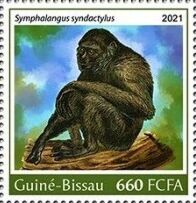 Stamp: Siamang (Symphalangus syndactylus) (Guinea-Bissau(Monkeys (2021 ...