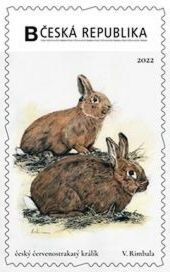 Stamp: Red Spotted Rabbit. Český červenostrakatý Králík (Personalized ...