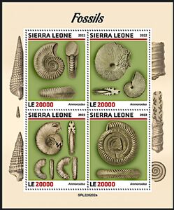 Stamp: Fossils (Sierra Leone(Fossils (2022.1)) Col:SL 2022.05.05-03