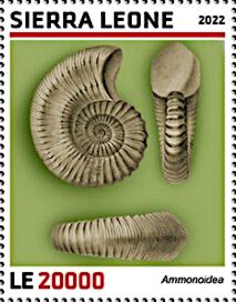Stamp: Ammonoidea (Sierra Leone(Fossils (2022.1)) Col:SL 2022.05.05-03a