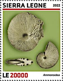 Stamp: Ammonoidea (Sierra Leone(Fossils (2022.1)) Col:SL 2022.05.05-03b