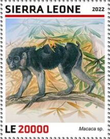 Stamp: Siberut Macaque (Macaca siberu) (Sierra Leone(Primates (2022 ...