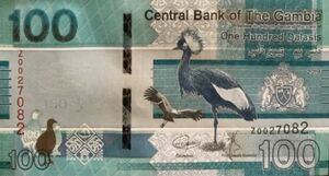 Billete de Banco: 100 Dalasis (Gambia(2019-2020 "Birds" Issue) Wor:P-41ar