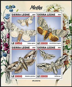Stamp: Moths (Sierra Leone(Moths (2022)) Col:SL 2022.05.05-35