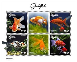 Stamp: Goldfish (Liberia(Goldfish (2022)) Yt:LR 6914-6917