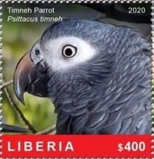 Stamp: Timneh parrot (Psittacus timneh) (Liberia(Tropical Forest ...