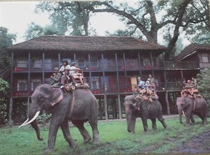 Postcard: Royal Chitawan National Park (Nepal(_ Chitwan National Park ...