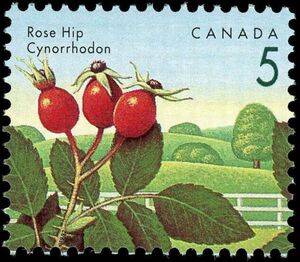Stamp: Rose Hip (Rosa rugosa) (Canada(Definitives 1992-1998: Edible ...