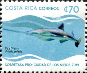 Stamp: Largetooth Sawfish (Pristis pristis) (Costa Rica(Endangered ...