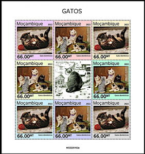 Stamp: Cats (Mozambique(Cats (2022)) Yt:MZ 9378-9385