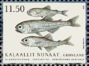 Stamp: Glacier Lantern Fish (Benthosema glaciale) (Greenland(Fish In ...