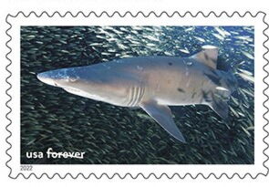 Stamp: Sand Tiger Shark, Monitor National Marine Sanctuary (United ...