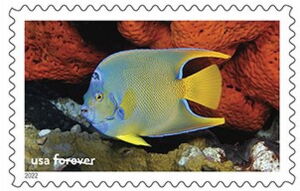 Stamp: Queen Angelfish, Flower Garden Banks Nat Marine Sanctuary ...