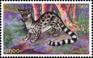 Stamp: Spotted Linsang (Prionodon pardicolor) (Laos(Animals (1999)) Mi ...