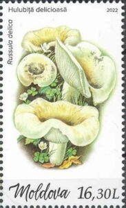 Stamp: Russula delica (Moldova(Mushrooms of Moldova (2022)) Col:MD 2022 ...