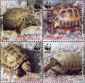 Stamp: Horsfield's Tortoise (Testudo horsfieldii) (Armenia(WWF ...