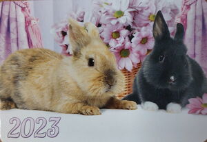 Pocket Calendar: Rabbits (Russia(Rabbits) Col:RUS-2023-Rabbit-006.04