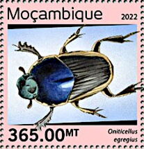 Stamp: Oniticellus egregius (Mozambique(Insects of Mozambique (2022 ...
