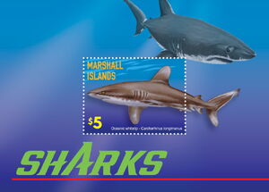 Stamp: Sharks (Marshall Islands(Sharks (2022)) Sn:MH 1378,Yt:MH BF166