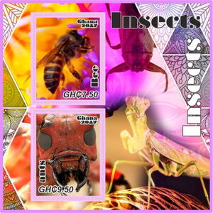 Stamp: Fauna Insects (Ghana: Illegal StampsCol:GH 2017-03/2