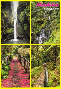 Postcard: Levadas (Madeira IslandsCol:PT-MD-000239