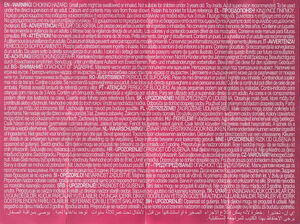 Meal Toy: Cassy (Kinder Surprise, Europe(Princess Sweeties Flipperz ...