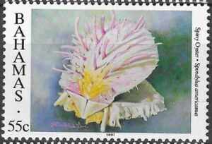 Stamp: Atlantic Thorny Oyster (Spondylus americanus) (Bahamas(Shells ...