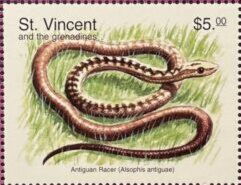 Stamp: Antiguan Racer (Alsophis antiguae) (Saint Vincent and The ...