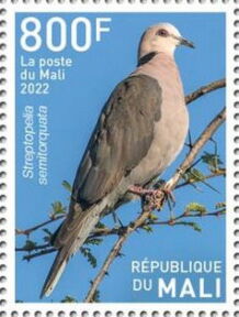 Stamp: Red-Eyed Dove (Streptopelia semitorquata) (Mali(Birds of Mali ...