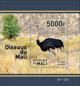 Stamp: Common Ostrich (Struthio camelus) (Mali(Birds of Mali (2022 ...