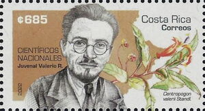 Stamp: Juvenal Valerio Rodríguez and Centropogon valerii (Costa Rica ...