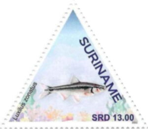 Stamp: Bleeding Shiner (Luxilus zonatus) (Suriname(Fish of Suriname ...