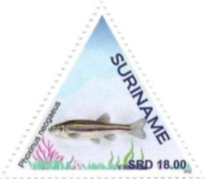 Stamp: Finescale Dace (Phoxinus neogaeus) (Suriname(Fish of Suriname ...