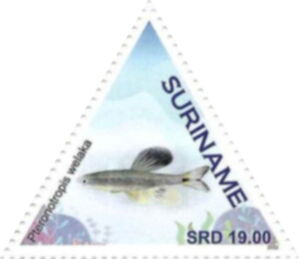 Stamp: Bluenose Shiner (Pteronotropis welaka) (Suriname(Fish of ...
