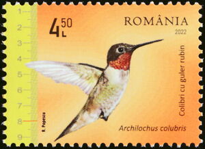 Stamp: Ruby-throated Hummingbird (Archilochus colubris) (Romania ...
