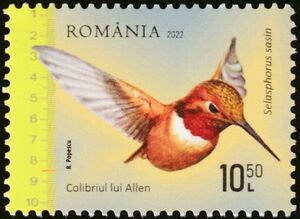 Stamp: Allen's Hummingbird (Selasphorus sasin) (Romania(Hummingbirds ...
