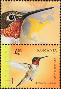 Stamp: Ruby-throated Hummingbird (Archilochus colubris) (Romania ...