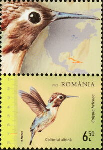Stamp: Bee Hummingbird (Calypte helenae) (Romania(Hummingbirds) Rom:RO ...