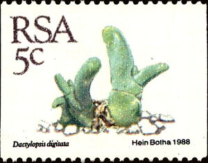 Stamp: Dactylopsis digitata (South Africa(Definitive Issue - Succulents ...