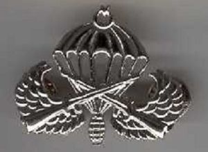 Decoration: Paratrooper badge 1 type (Türkiye (Turkey)(Military Badges ...