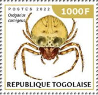 Stamp: Ordgarius cornigeus (Togo(Spiders (2022)) Col:TG 2022.06.10-52b