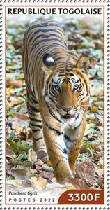 Stamp: Tiger (Panthera tigris) (Togo(Endangered Mammals (2022)) Col:TG ...