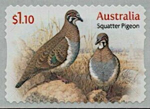 Postzegel: Squatter Pigeon (Geophaps scripta) (Australië(Pigeons and ...