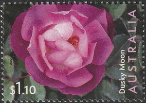 Stamp: Dusky Moon (Australia(Australian Roses (2022)) Yt:AU 5298,Sg:AU ...