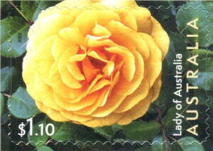 Stamp: Lady of Australia (Australia(Australian Roses (2022)) Mi:AU 5529 ...