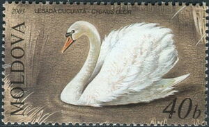 Postzegel: Mute Swan (Cygnus olor) (Moldavië(Red Book of Moldova ...