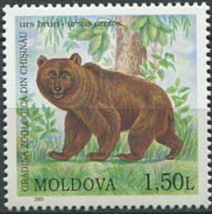 Stamp: Brown Bear (Ursus arctos) (Moldova(Fauna - Chișinău Zoological ...